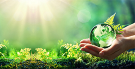 Sapling Global